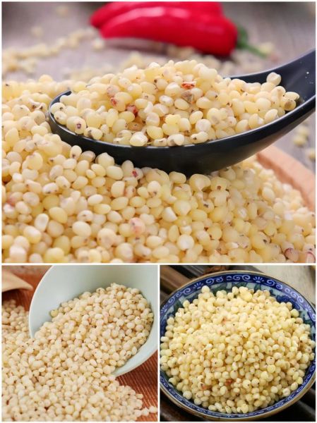 高粱米煮多久能熟_高粱米怎么煮才软烂-第3张图片-山城妙识
