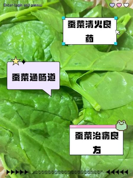 蚕菜是什么菜_蚕菜怎么吃最好吃-第1张图片-山城妙识