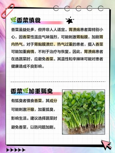 香菜吃多了有什么副作用_孕妇能吃香菜吗-第2张图片-山城妙识 香菜吃多了有什么副作用_孕妇能吃香菜吗-第2张图片-山城妙识