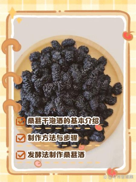 桑葚泡酒怎么做_桑葚酒比例是多少-第2张图片-山城妙识
