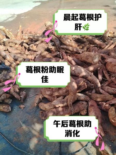 葛根粉的作用是什么_葛根粉怎么吃效果最好-第3张图片-山城妙识