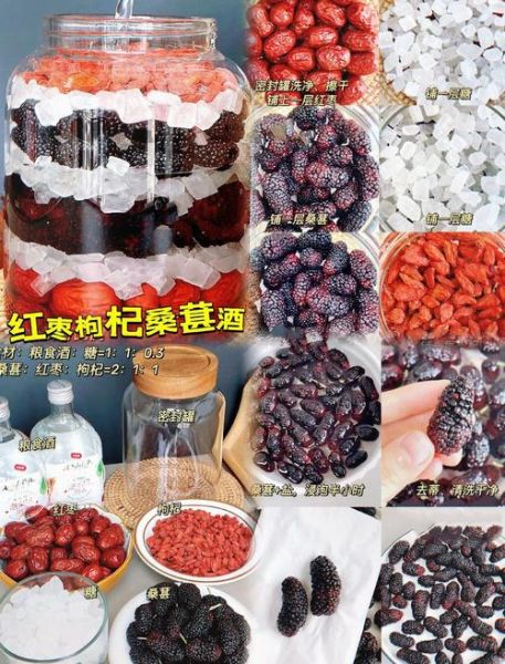 桑葚泡酒怎么做_桑葚酒比例是多少-第1张图片-山城妙识