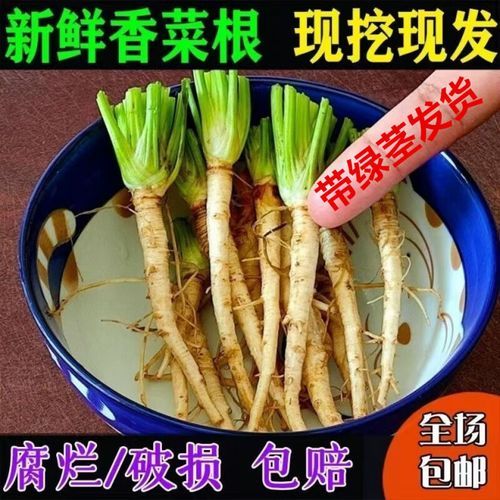 香菜根咸菜怎么做_香菜根咸菜的做法大全-第2张图片-山城妙识