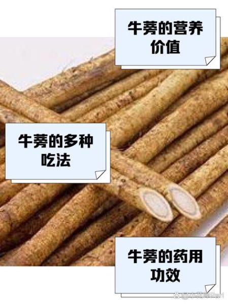 鲜牛蒡怎么吃_鲜牛蒡的家常做法-第2张图片-山城妙识 鲜牛蒡怎么吃_鲜牛蒡的家常做法-第2张图片-山城妙识