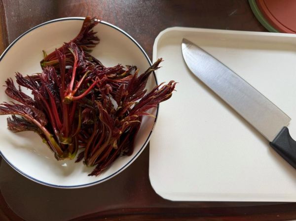 香椿拌豆腐香椿需要焯水吗_焯水多久才安全-第1张图片-山城妙识 香椿拌豆腐香椿需要焯水吗_焯水多久才安全-第1张图片-山城妙识