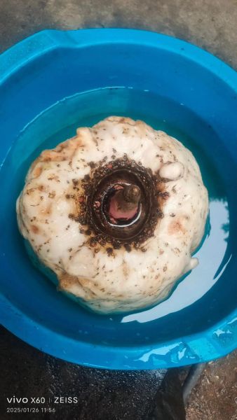 魔芋豆腐怎么做好吃_凉拌魔芋豆腐的做法-第1张图片-山城妙识 魔芋豆腐怎么做好吃_凉拌魔芋豆腐的做法-第1张图片-山城妙识