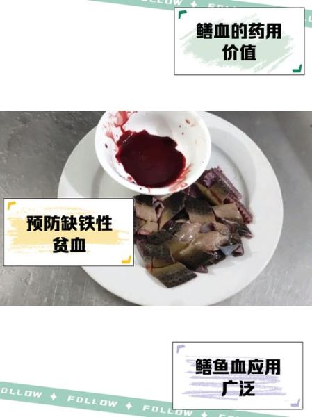 黄鳝血怎么吃最有营养_黄鳝血的功效与做法-第2张图片-山城妙识