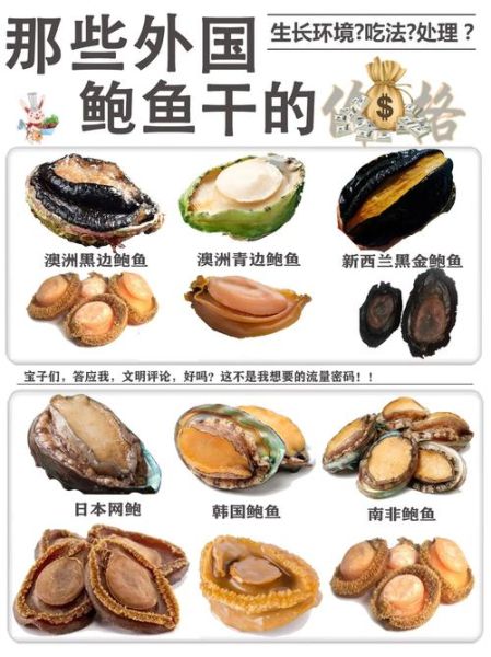 鲍鱼多少钱一只_鲍鱼价格为什么差异大-第2张图片-山城妙识 鲍鱼多少钱一只_鲍鱼价格为什么差异大-第2张图片-山城妙识