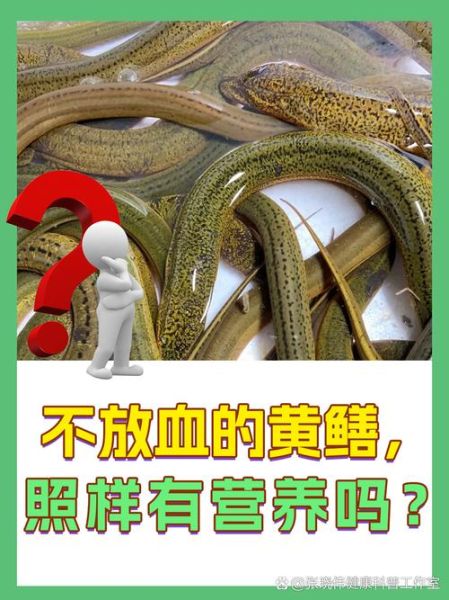 野生黄鳝汤不放血的做法_如何去除土腥味-第1张图片-山城妙识