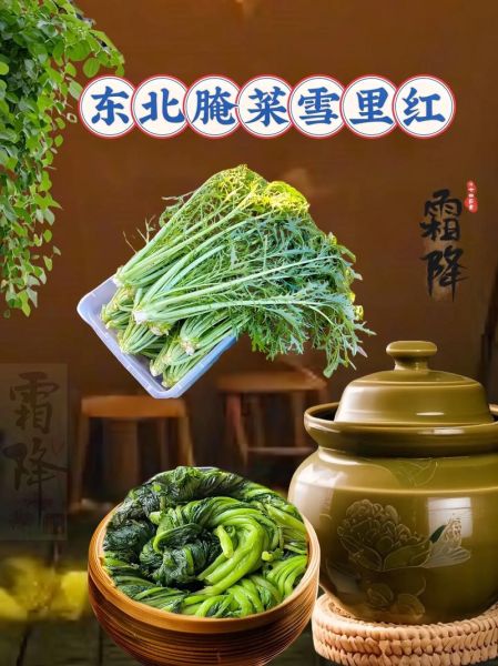 雪里红怎么吃_雪里红的家常做法-第3张图片-山城妙识