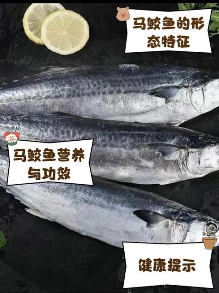 马鲛鱼的营养价值及功效与作用_孕妇能吃吗-第3张图片-山城妙识 马鲛鱼的营养价值及功效与作用_孕妇能吃吗-第3张图片-山城妙识