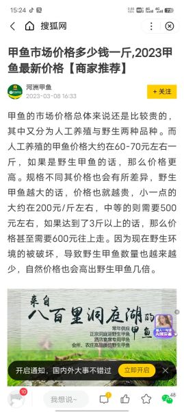 野生甲鱼多少钱一斤_野生甲鱼价格行情-第1张图片-山城妙识