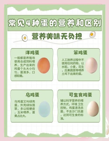 鸡蛋的营养价值及功效与作用禁忌_吃鸡蛋会上火吗-第2张图片-山城妙识