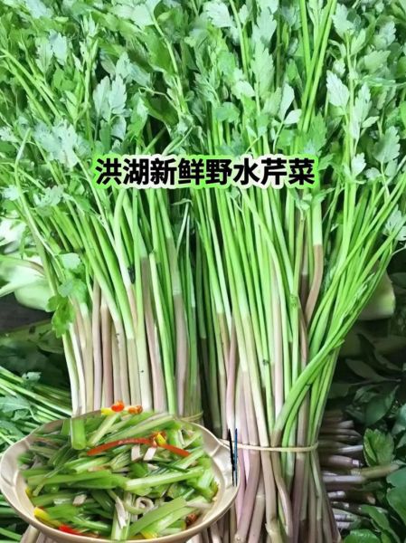 野生水芹菜怎么做好吃_野生水芹菜的做法大全-第1张图片-山城妙识