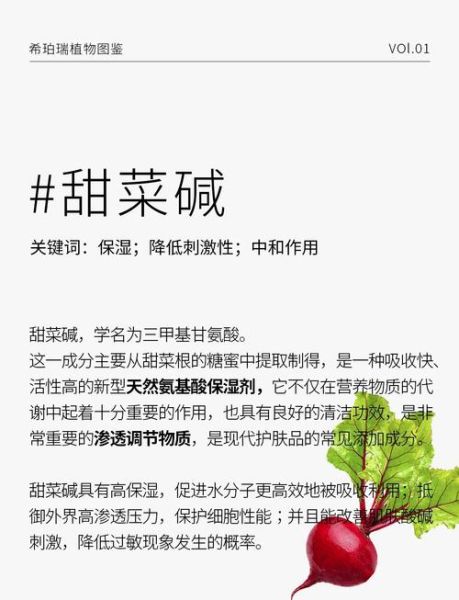 食用碱的用途有哪些_食用碱怎么使用-第2张图片-山城妙识