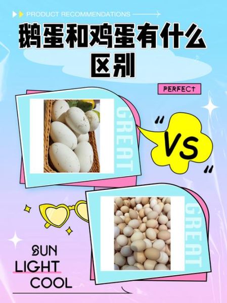 鹅蛋图片大全大图_鹅蛋和鸡蛋营养区别-第1张图片-山城妙识 鹅蛋图片大全大图_鹅蛋和鸡蛋营养区别-第1张图片-山城妙识