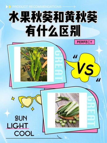 秋葵草莓丝瓜黄瓜榴莲污污污_怎么选才健康-第3张图片-山城妙识 秋葵草莓丝瓜黄瓜榴莲污污污_怎么选才健康-第3张图片-山城妙识