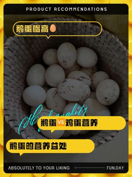 鹅蛋图片大全大图_鹅蛋和鸡蛋营养区别-第3张图片-山城妙识 鹅蛋图片大全大图_鹅蛋和鸡蛋营养区别-第3张图片-山城妙识