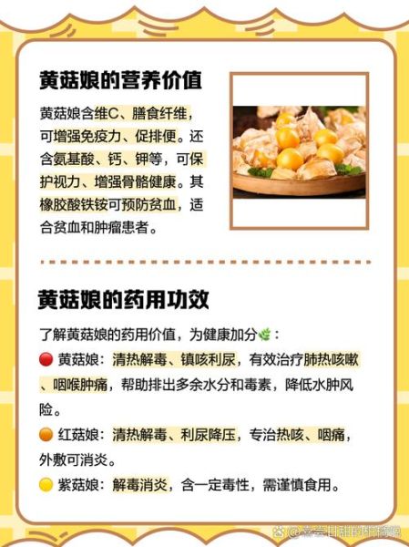 黄菇娘的功效与作用_黄菇娘怎么吃效果最好-第2张图片-山城妙识 黄菇娘的功效与作用_黄菇娘怎么吃效果最好-第2张图片-山城妙识