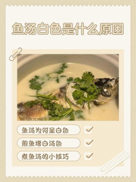鱼汤怎么煮才白_鱼汤浓白技巧-第3张图片-山城妙识