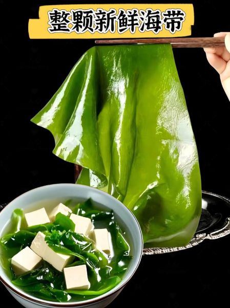 鲜海带怎么做好吃_鲜海带的家常做法窍门-第2张图片-山城妙识