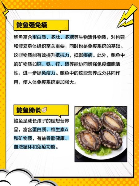 鲍鱼的营养价值及功效与作用禁忌_哪些人不能吃-第2张图片-山城妙识 鲍鱼的营养价值及功效与作用禁忌_哪些人不能吃-第2张图片-山城妙识