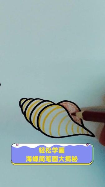 鸡心螺简笔画怎么画_鸡心螺有毒吗-第3张图片-山城妙识