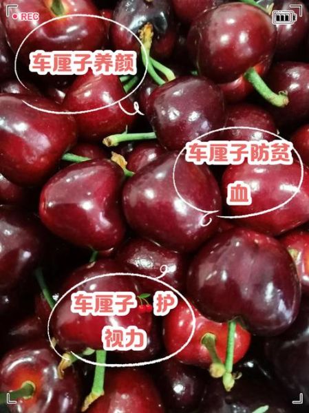 车厘子吃多了会上火吗_车厘子一天吃多少合适-第2张图片-山城妙识