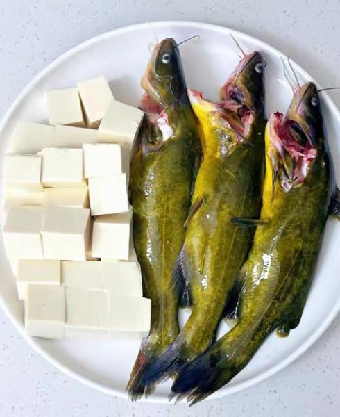 骨鱼汤食谱在哪刷_骨鱼汤食谱有什么用-第3张图片-山城妙识