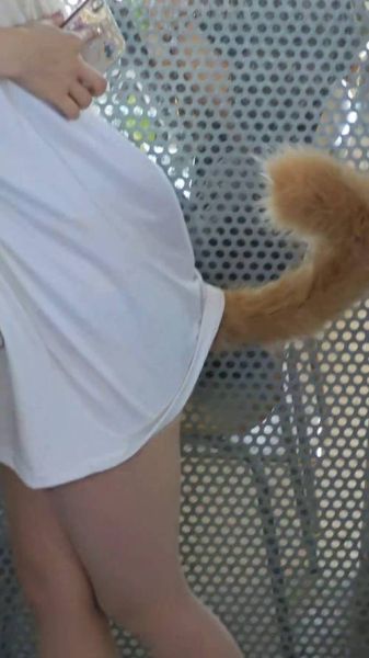 黄豆粉猫娘cos怎么做_黄豆粉猫娘cos服哪里买-第1张图片-山城妙识