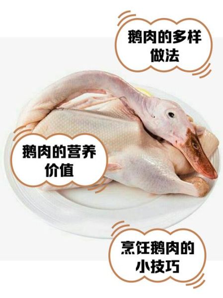 鹅肉怎么做好吃_鹅肉最香的做法步骤-第1张图片-山城妙识