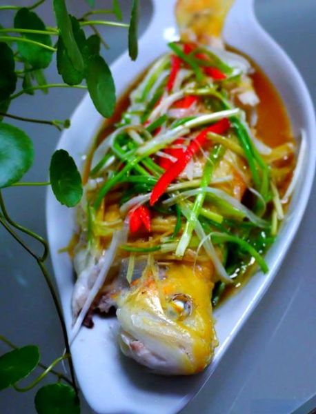 金鳟鱼怎么做好吃_金鳟鱼最鲜嫩的三种做法-第1张图片-山城妙识