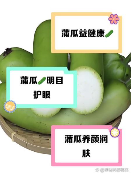 蒲瓜的功效与作用_蒲瓜怎么吃最营养-第2张图片-山城妙识