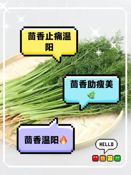 茴香菜的功效与作用_茴香菜的禁忌人群-第3张图片-山城妙识