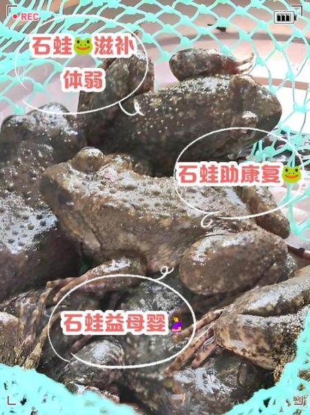 野生石蛙吃了有什么好处_野生石蛙营养价值-第3张图片-山城妙识 野生石蛙吃了有什么好处_野生石蛙营养价值-第3张图片-山城妙识