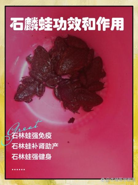 野生石蛙吃了有什么好处_野生石蛙营养价值-第2张图片-山城妙识 野生石蛙吃了有什么好处_野生石蛙营养价值-第2张图片-山城妙识