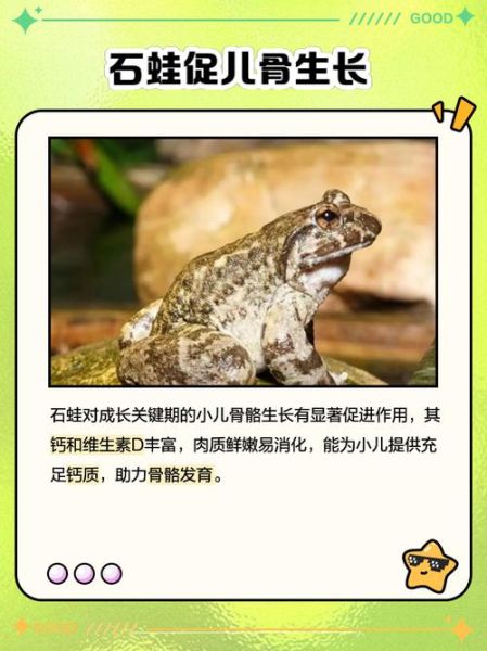 野生石蛙吃了有什么好处_野生石蛙营养价值-第1张图片-山城妙识 野生石蛙吃了有什么好处_野生石蛙营养价值-第1张图片-山城妙识