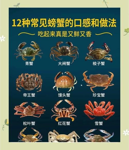 淡水螃蟹吃什么食物好养活_淡水螃蟹怎么喂-第2张图片-山城妙识