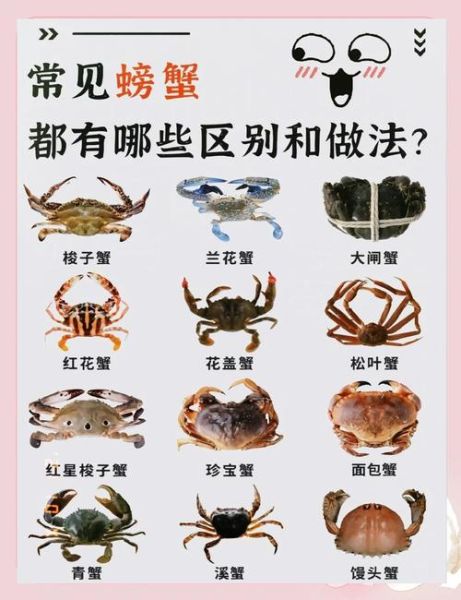 淡水螃蟹吃什么食物好养活_淡水螃蟹怎么喂-第3张图片-山城妙识