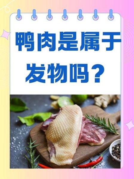 鸭肉是发物吗_皮肤病能吃吗-第1张图片-山城妙识