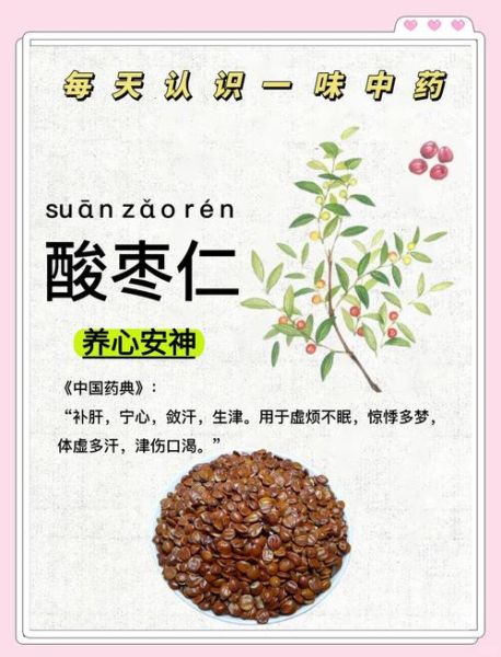 炒酸枣仁的功效与作用_禁忌有哪些-第3张图片-山城妙识 炒酸枣仁的功效与作用_禁忌有哪些-第3张图片-山城妙识