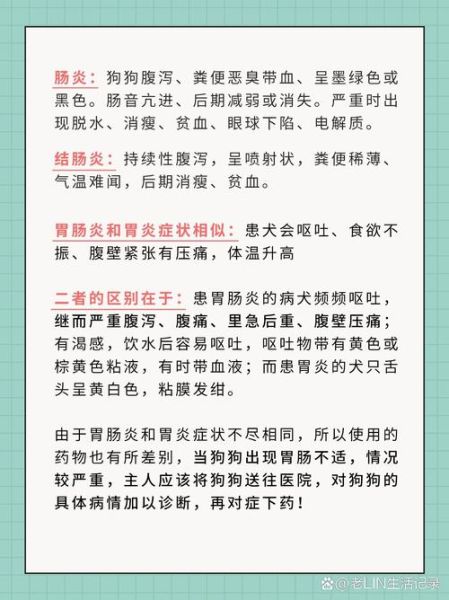 胃炎和肠炎的区别_怎么判断是胃炎还是肠炎-第1张图片-山城妙识