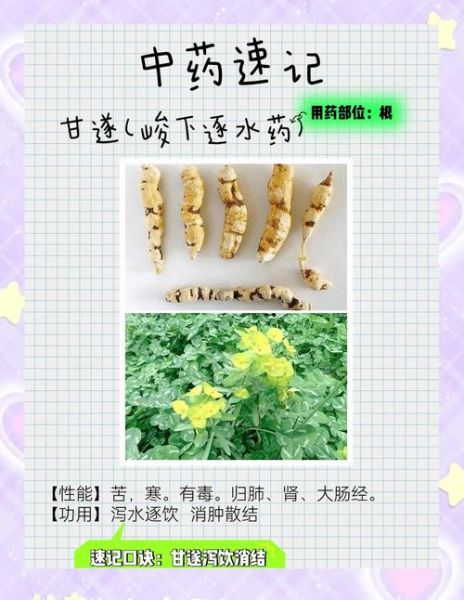 消肿散结最好的中草药有哪些_怎么使用最有效-第3张图片-山城妙识