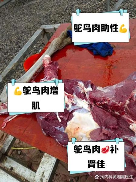 驼鸟肉的营养价值_驼鸟肉的功效与作用-第1张图片-山城妙识