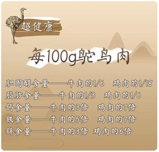 驼鸟肉的营养价值_驼鸟肉的功效与作用-第2张图片-山城妙识