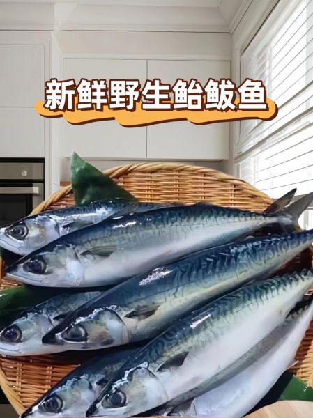 鲭鱼的营养价值及功效_孕妇能吃吗-第3张图片-山城妙识