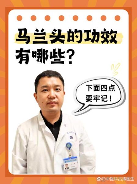 马兰头什么人不能吃_马兰头副作用有哪些-第3张图片-山城妙识