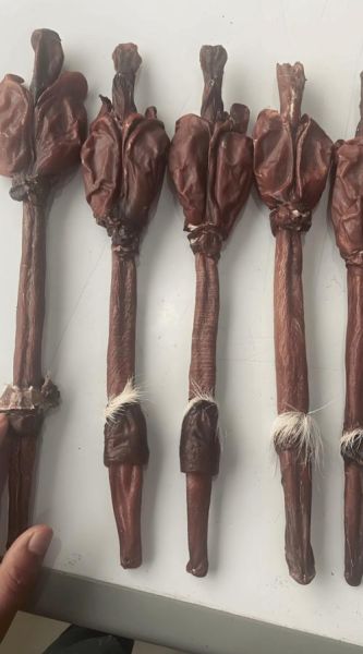 鹿鞭泡酒方法_鹿鞭泡酒比例是多少-第1张图片-山城妙识