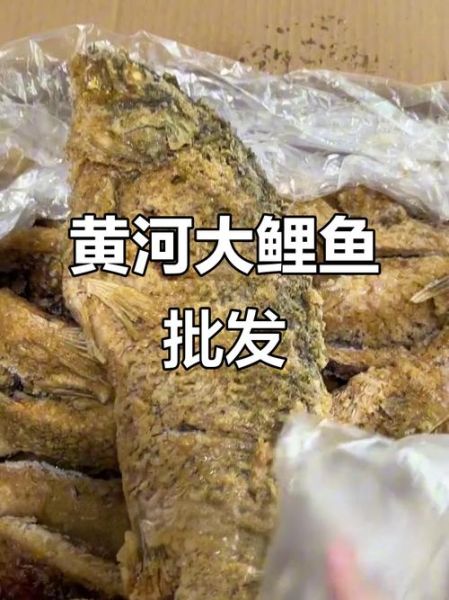 黄河鲤鱼多少钱一斤_黄河鲤鱼价格走势-第2张图片-山城妙识