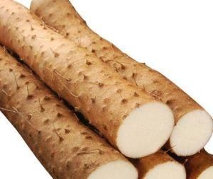 麻山药图片_麻山药怎么挑选-第2张图片-山城妙识